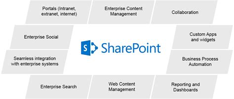 ms sharepoint cms development services