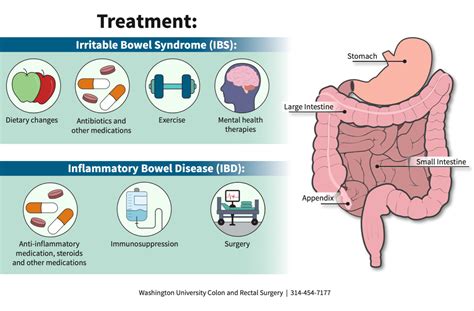 Inflammatory Bowel Disease Or Irritable Bowel Syndrome Department Of