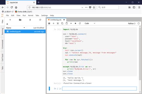serverあれこれ lxdでjupyter labとmariadbがインストールされたコンテナ ubuntu18