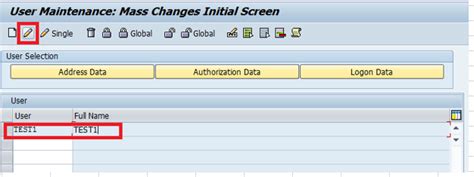 vb script sap gui script for mass role assignment sap blogs