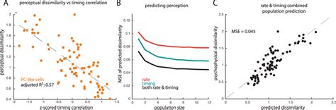 Temporal Patterns Predict Texture Perception A The Correlation Between