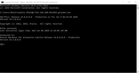 how to install sqlplus utility on windows 10 manjaro dot site