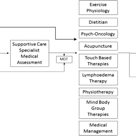 Process Of Care Mdt Multidisciplinary Team Meeting Download