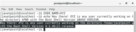 bash variables javatpoint