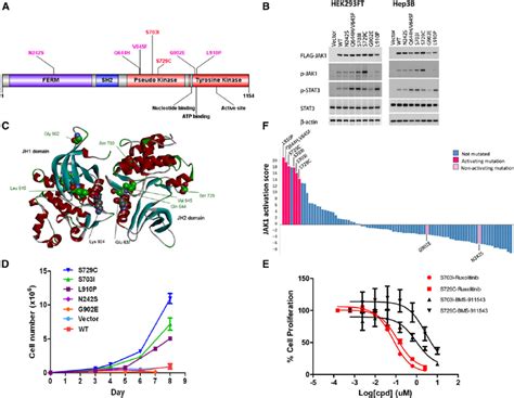 Activating Mutations In Janus Kinase 1 Jak1 A Seven Distinct