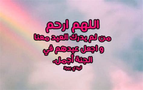 دعاء للميت في العيد ليدي بيرد