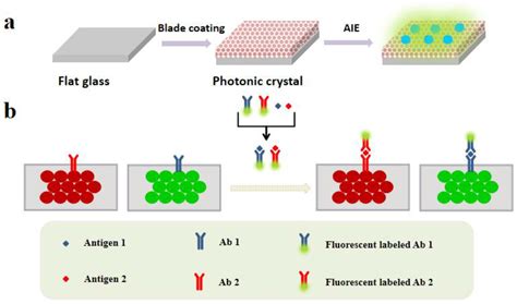 Biosensors Free Full Text Aiegens Doped Photonic Crystals For High