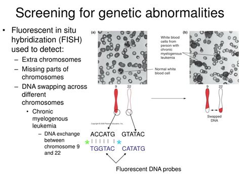 ppt medical biotechnology powerpoint presentation free