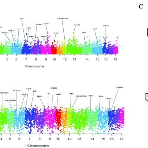 Genome Wide Selection Scan For Snps In European Wb And Dp By Using