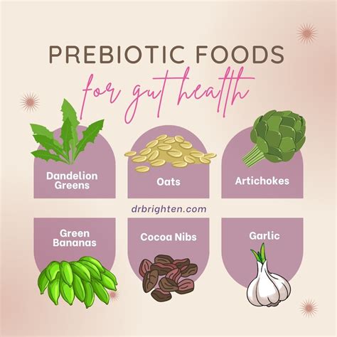 Gut Health And Hormones Why Is A Healthy Gut Microbiome Important For