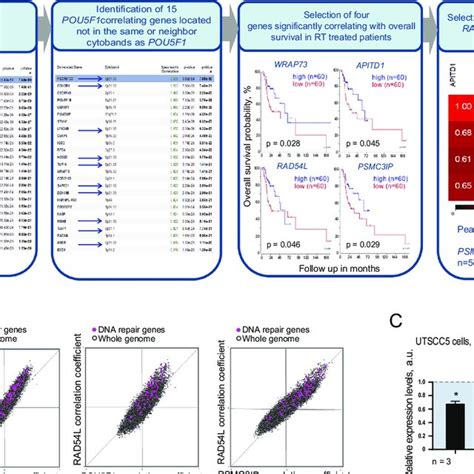 multivariate lasso cox regression analysis for os in patients with sclc