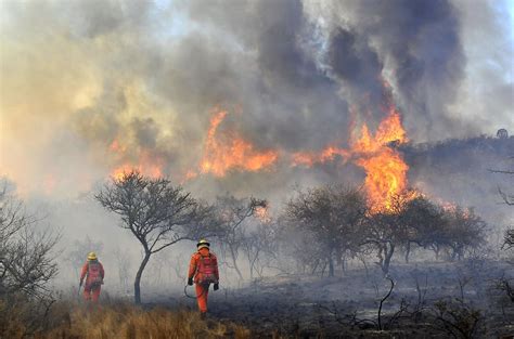 Incendios En Córdoba En Los últimos 20 Años Se Quemó El Equivalente Al