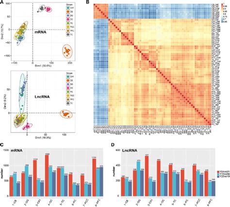 the discrete expression patterns of lncrnas and mrnas a principal