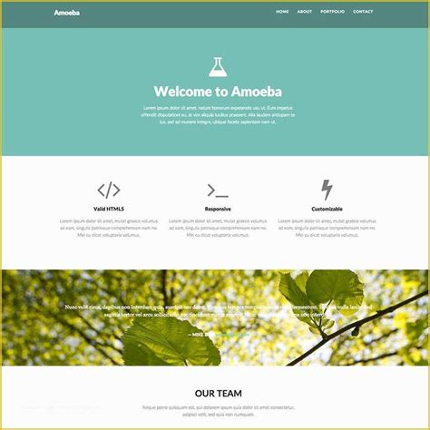 free responsive web templates of amoeba free bootstrap responsive