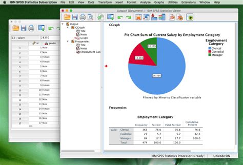 ibm spss statistics big data analytics in malaysia leverage 130