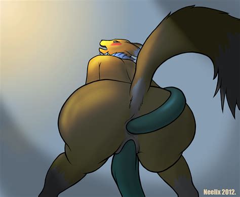 Rule 34 Anal Insertion Anthro Anus Ass Back View Bent Over Blush
