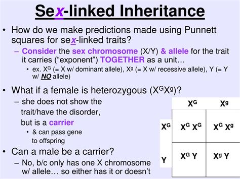 ppt unit 8 genetics and heredity powerpoint presentation