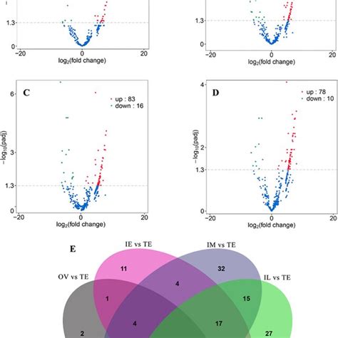 Differentially Expressed Circrnas During Gonadal Development A Ov Vs