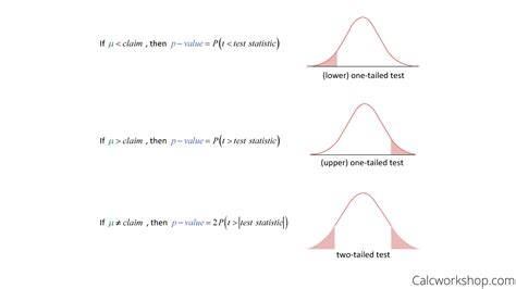 One Sample T Test Easily Explained W 5 Examples