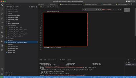 azure functionsからazure databaseに接続する時に使うssl証明書を構成情報に格納して利用する おてて動かそう