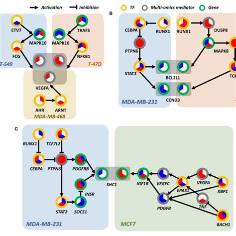 Multi Omics Potential Mediator Gene Selection A Multi Omics