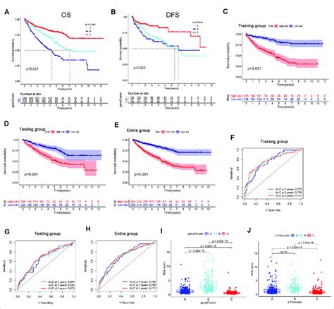 Development And Validation Of The M7g Score A B K M Analysis Of Os