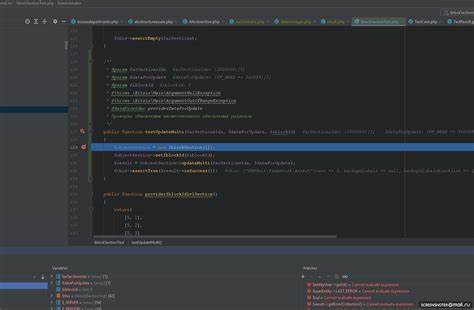xdebuger in unittest ides support intellij platform jetbrains