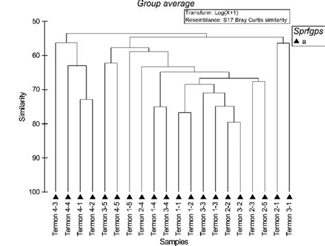 hierarchical cluster analysis dendrogram of macroinvertebrate species