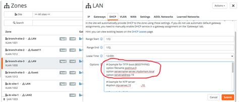 configuring dhcp options in zones on steelhead sd