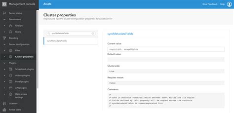 synchronizing metadata across file variations in assets server home
