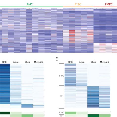 A Heatmap Of Rna Seq Expression Z Scores Computed For All Genes That