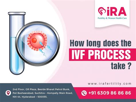 How Long Does The Ivf Process Take Ira Fertility Center