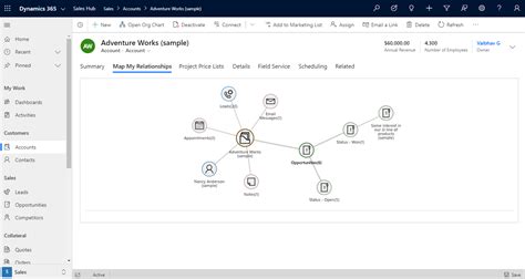 map my relationships a smart way to visualize dynamics 365 crm entity