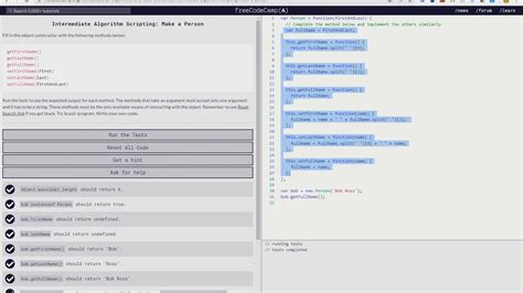 intermediate algorithm scripting make a person youtube