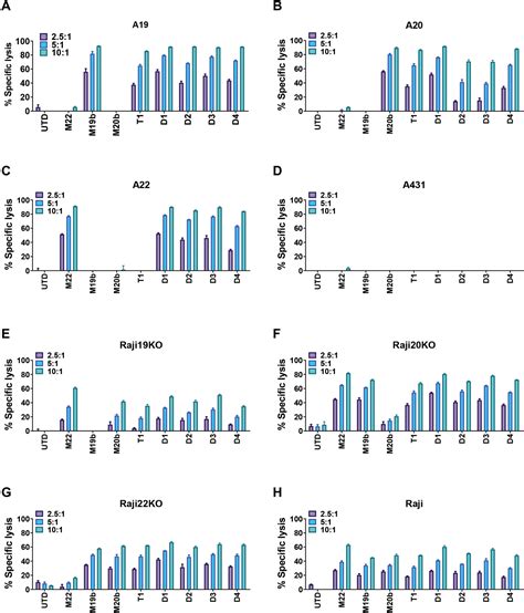 Trispecific Cd19 Cd20 Cd22 Targeting Duocar T Cells Eliminate Antigen