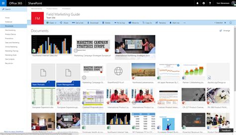 sharepoint—the mobile and intelligent intranet