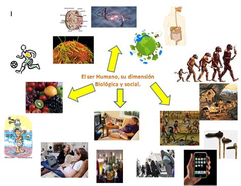 Salud PÚblica El Ser Humano Su Dimensión Biológica Y Social Cap I