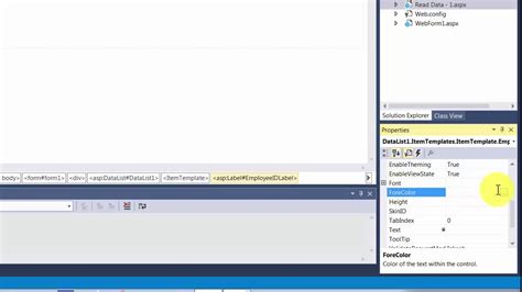 database datasource and datalist controls formatting