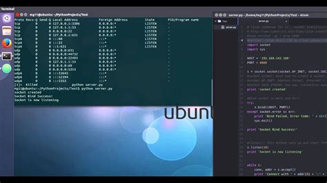 [view 37 ] socket error python except