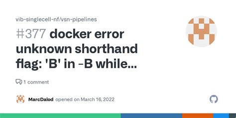docker error unknown shorthand flag b in b while running the