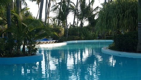 The Best Trees For Swimming Pools Garden Guides