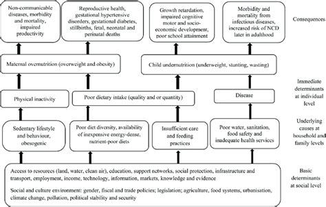 Conceptual Framework For The Determinants And Outcomes Of The Dual
