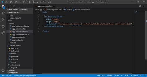 creating an angular document editor application