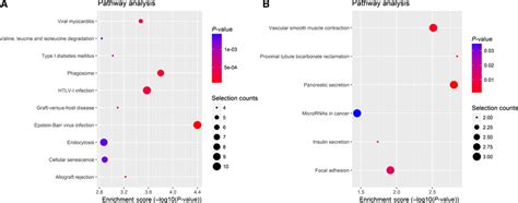 Kegg Pathway Analysis Of The Dysregulated Evs Circrnas In Patients With