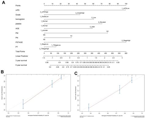 Nomogram Construction Results A Nomogram To Predict The 3 And 5 Year