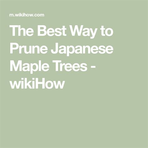 The Best Way To Prune Japanese Maple Trees Wikihow Japanese Maple