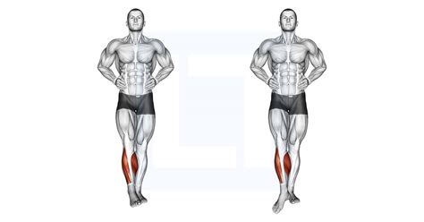Seated Calf Stretch Guide Benefits And Form