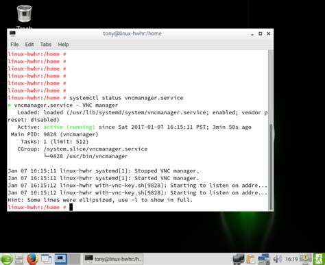 starting vnc server