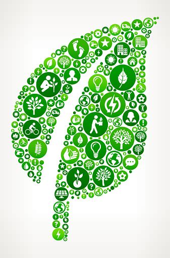 Nature De La Feuille Et Modèle Icône De Préservation De Lenvironnement