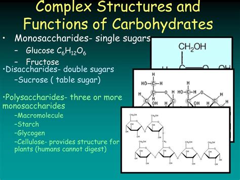 Structure Of Monosaccharides Disaccharides And Polysaccharides